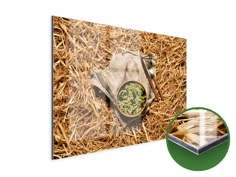 Fuji Suisse | Alu-Dibond