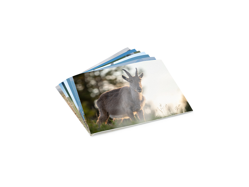 Fuji Schweiz | Foto 10er-Format | online kaufen